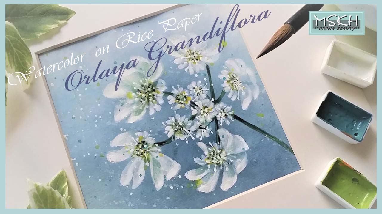 10x10 Orlaya Grandiflora